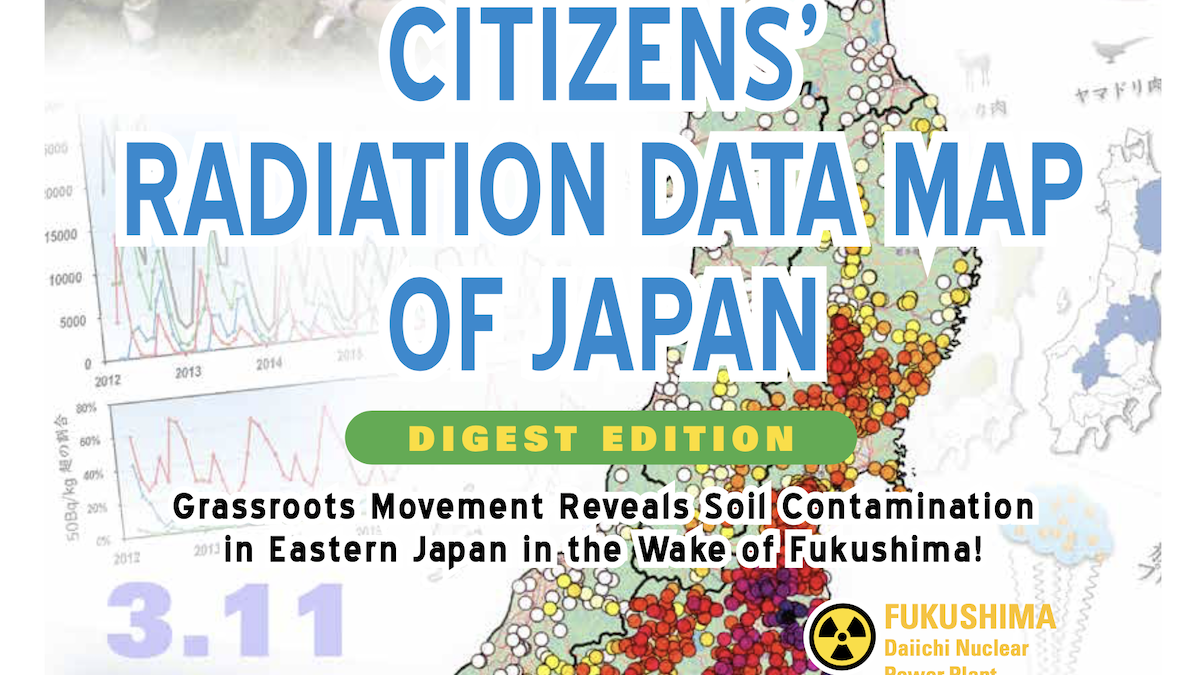 Actual amount of radioactive contamination caused by the March 2011 ...
